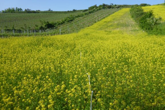 Österreichisches Biodiversitätsmonitoring - CoopNatura